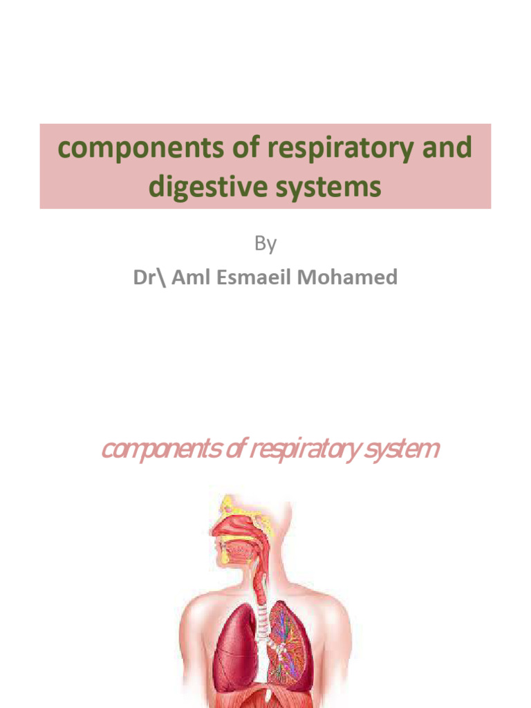 Shared Components of Respiratory & Digestive Systems | PDF ...