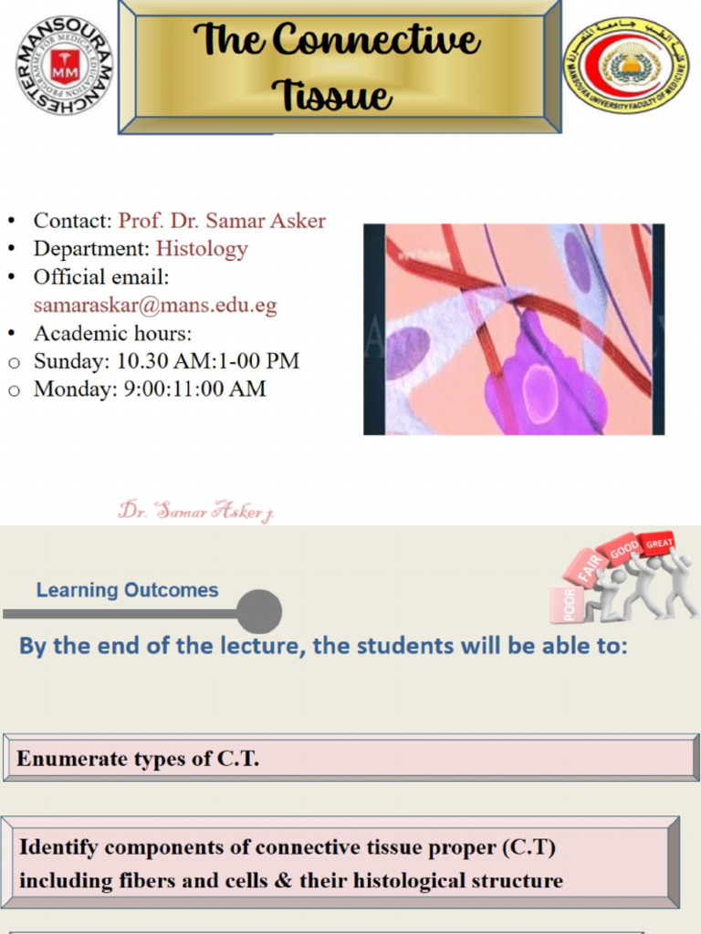 Connective Tissue DR Samar Asker | PDF