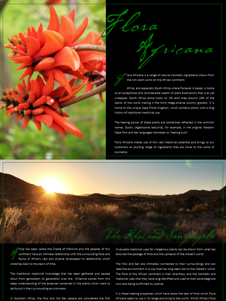 Flora Africana Brochure | PDF