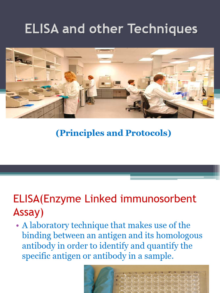 ELISA and other techniques | PDF | Elisa | Antibody