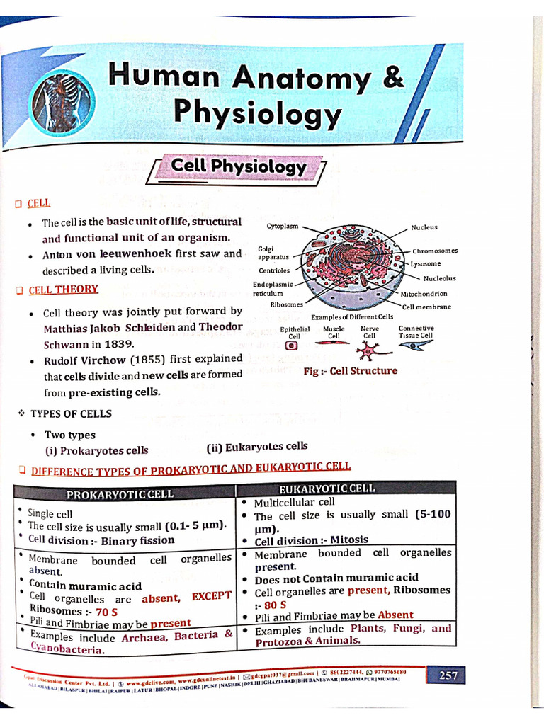 Pharmacology GDC | PDF