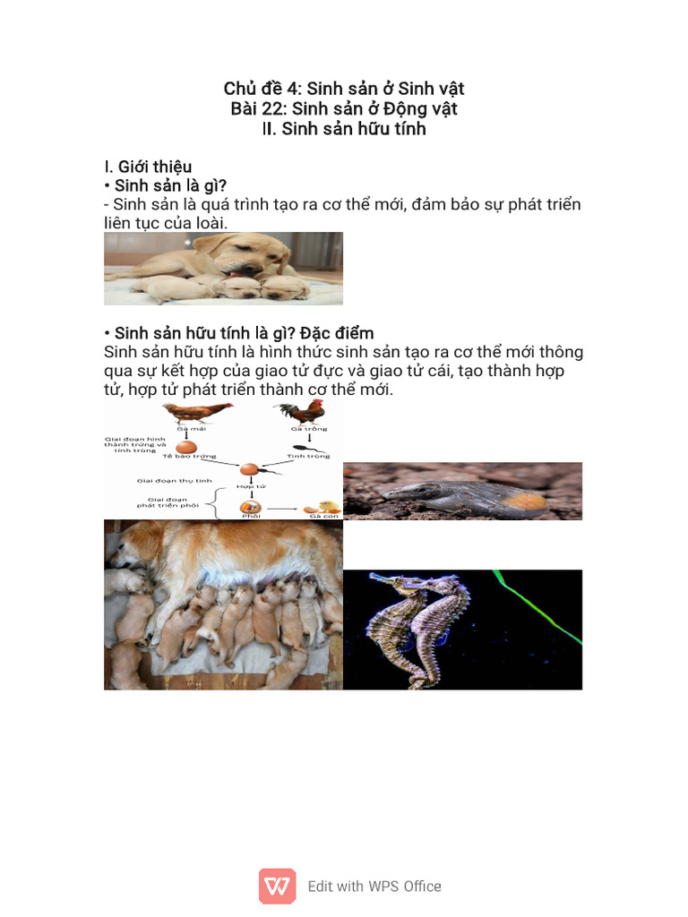 Nhóm 2 B22 Si11 | PDF