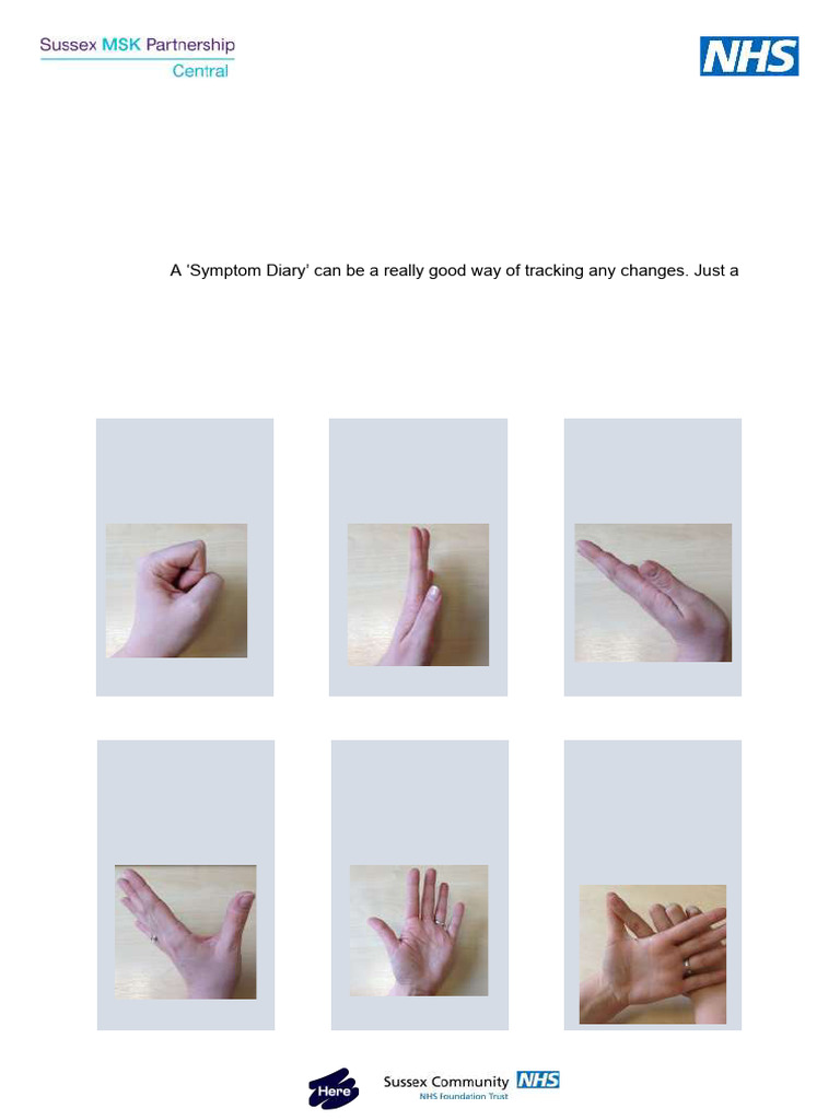 Median Nerve Glide Exercises | PDF | Hand | Human Anatomy