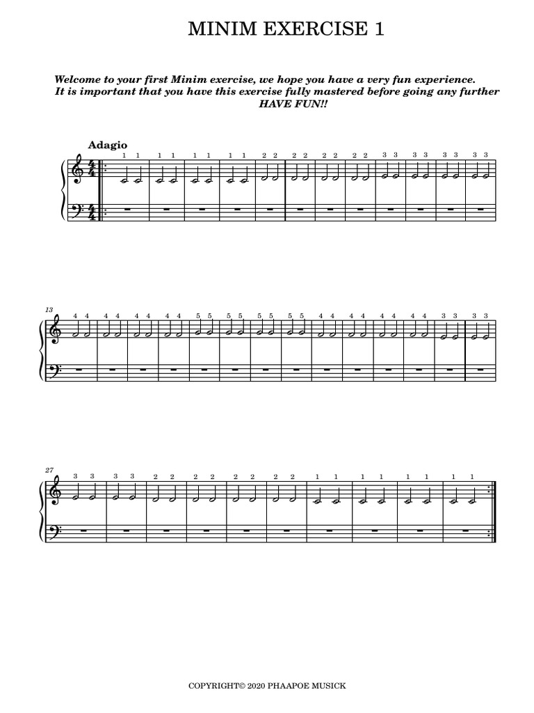 Minim Exercise 1 | PDF