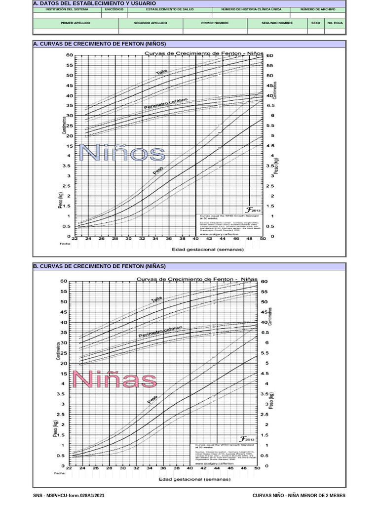 Sns - Msp Hcu-Form.028a1 - 2021 Curva Menor 2 Meses | PDF