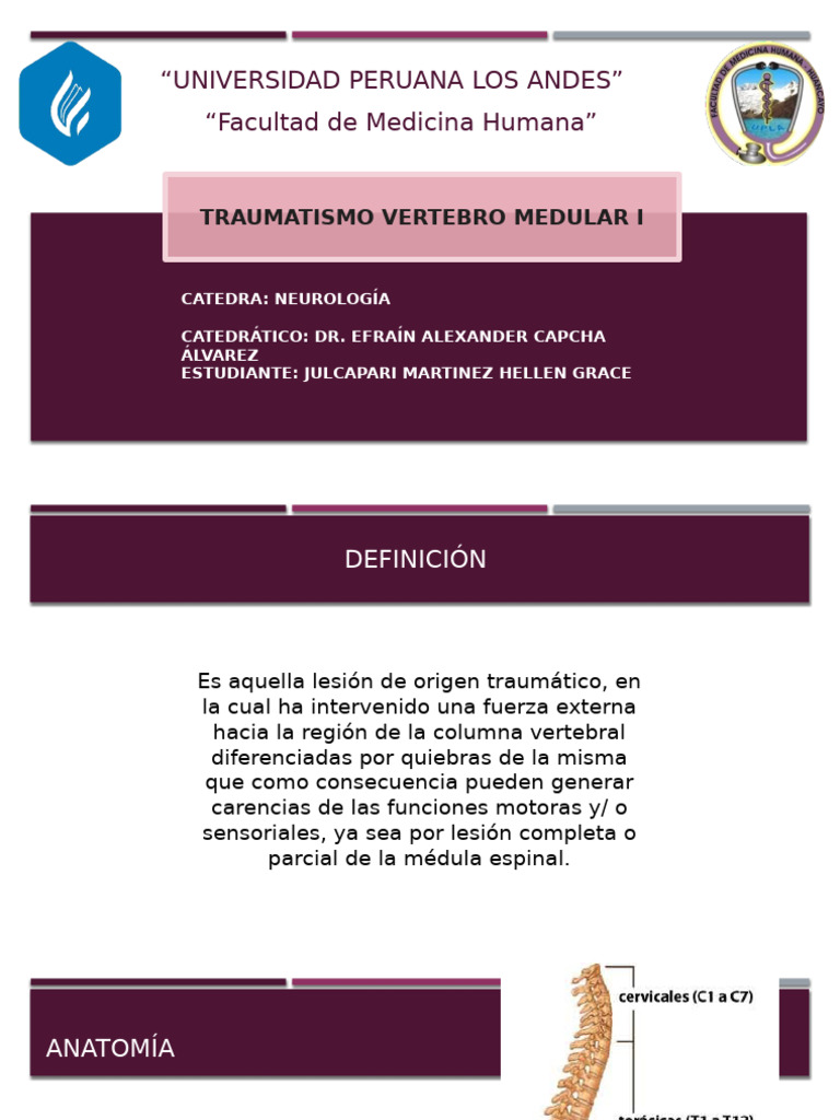 TRAUMATISMO VERTEBRO MEDULAR I | PDF | Inflamación | Médula espinal