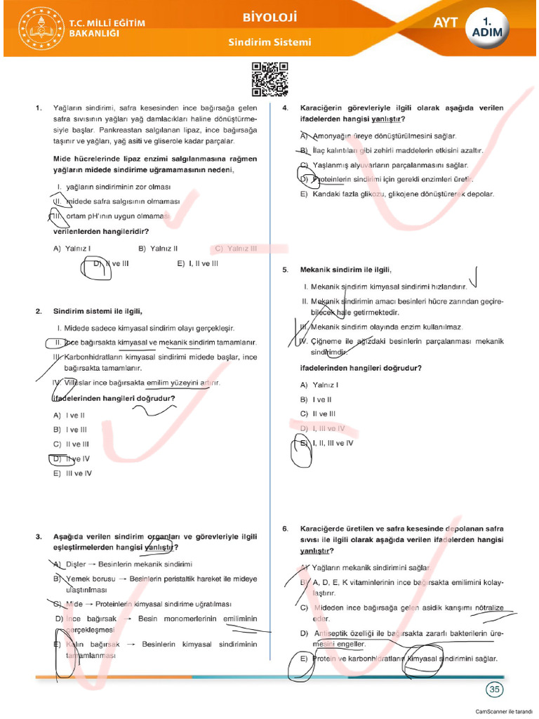 3adim Ayt Biyoloji Meb | PDF