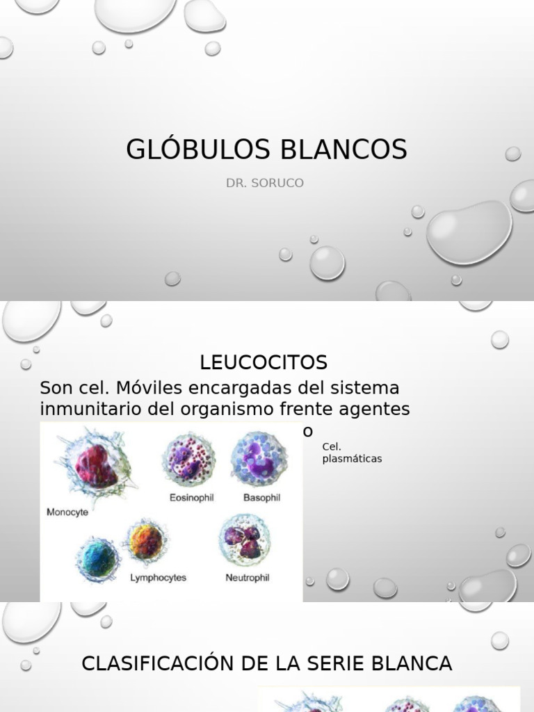 Glóbulos blancos (2) | PDF