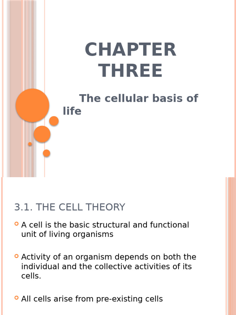 Understanding Cell Structure and Organelles | PDF | Cell Membrane ...
