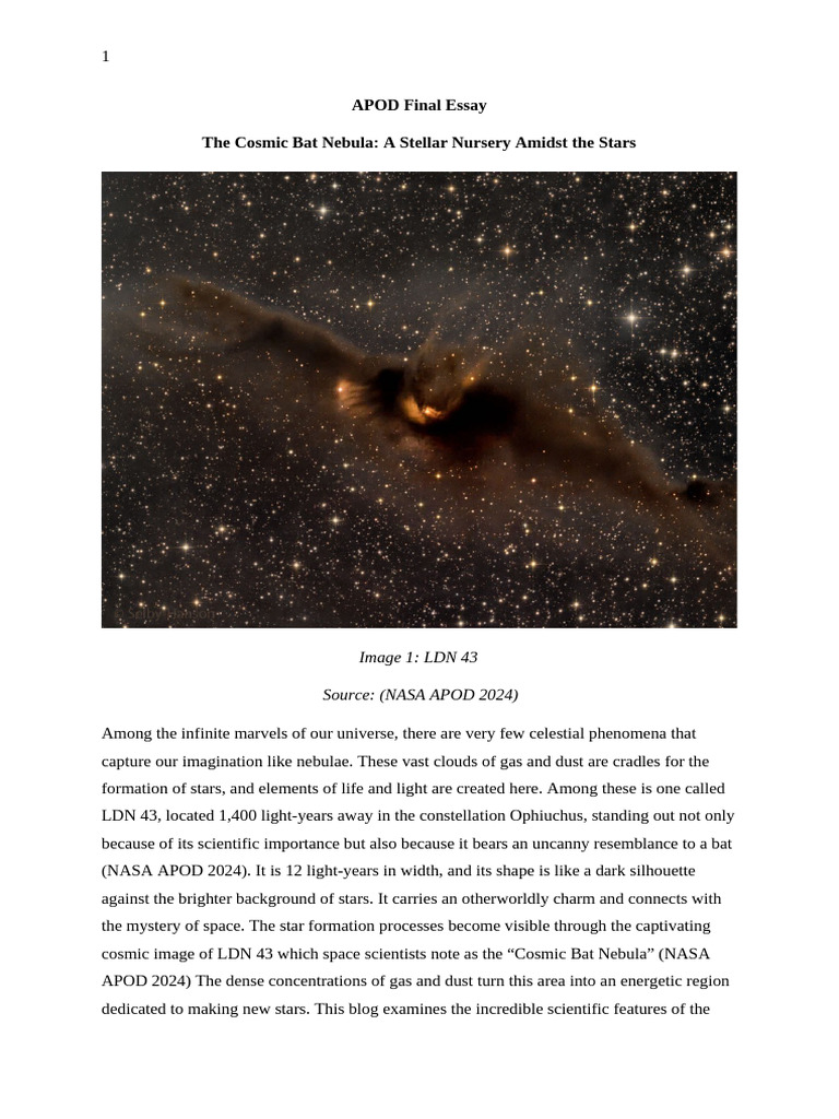 Coco - 64 - (PHYS1160 - APOD-PART 2 - FINAL SUBMISSION) Writing ...