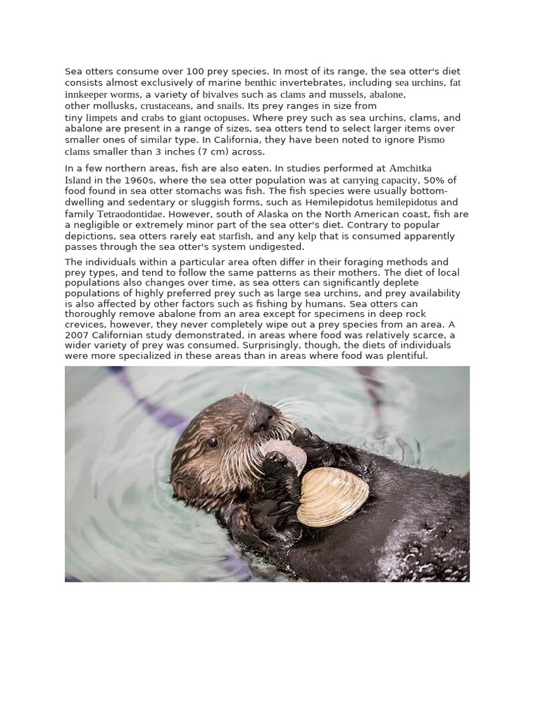 Sea Otters Diet | PDF