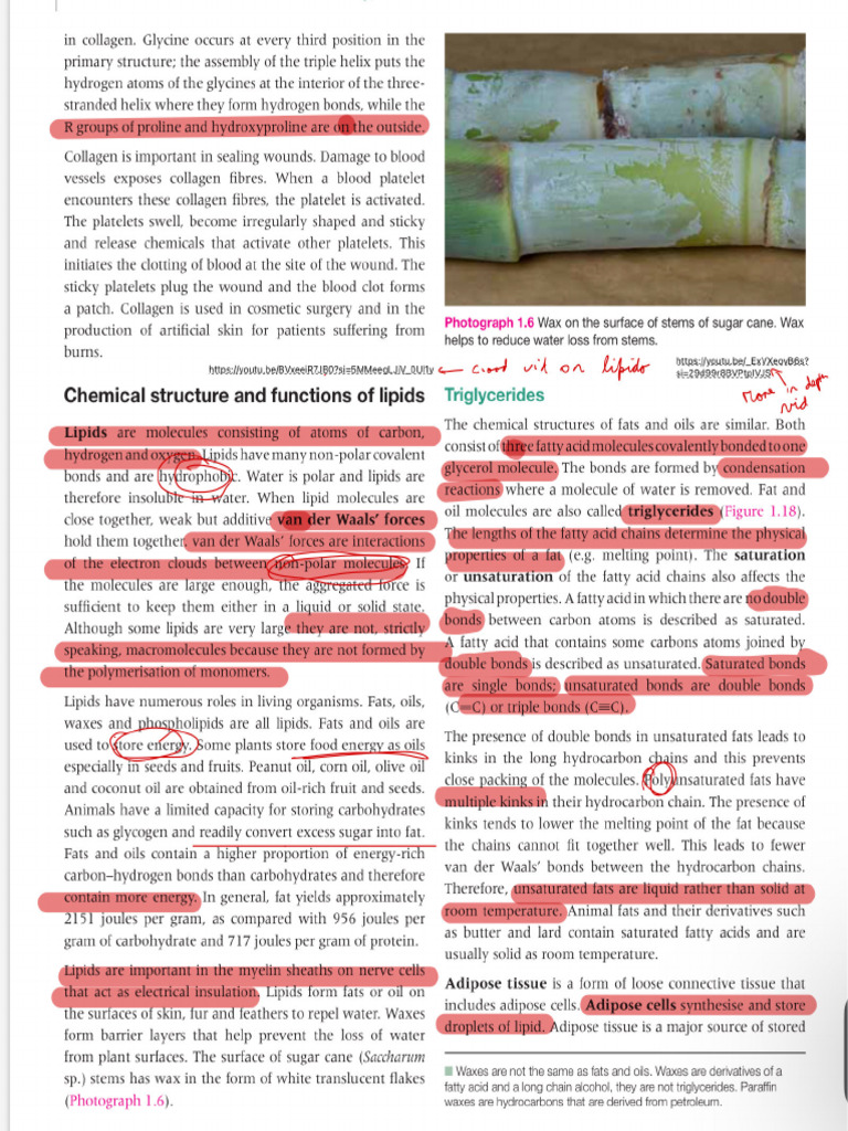 Untitled (Draft) | PDF