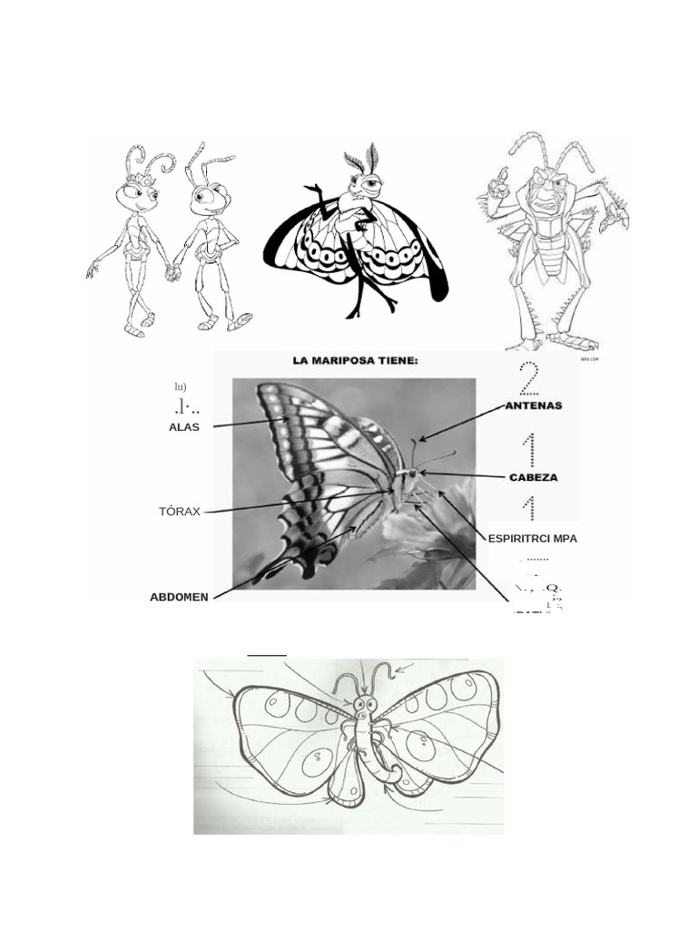 Ejercicios de Figuras 3D para Niños | PDF