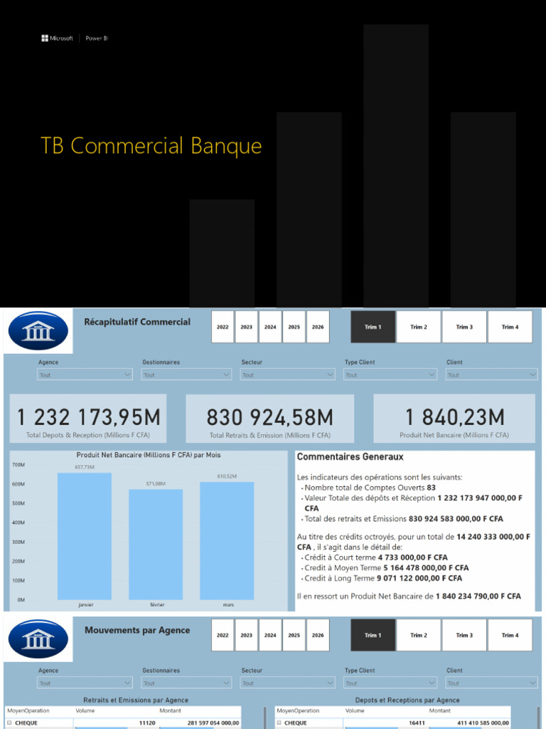 TB Commercial Banque PDF | PDF