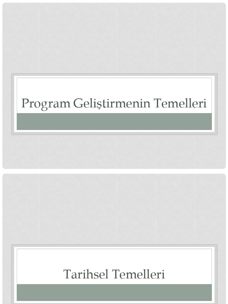 Program Geliştirmenin Temelleri | PDF