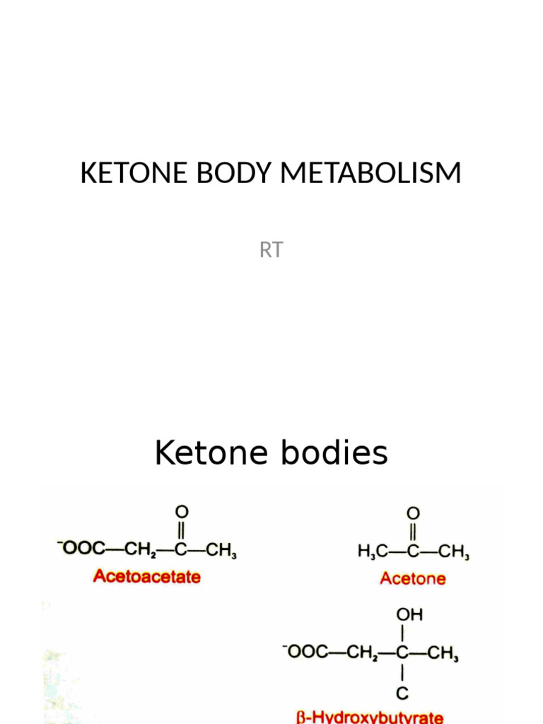Ketone Body Metabolism-4!4!25 | PDF
