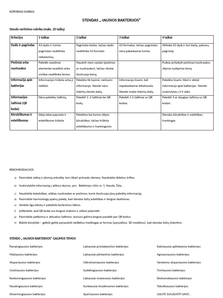 7 KL 2 Ciklas Kurybine Uzduotis (Stendas) | PDF