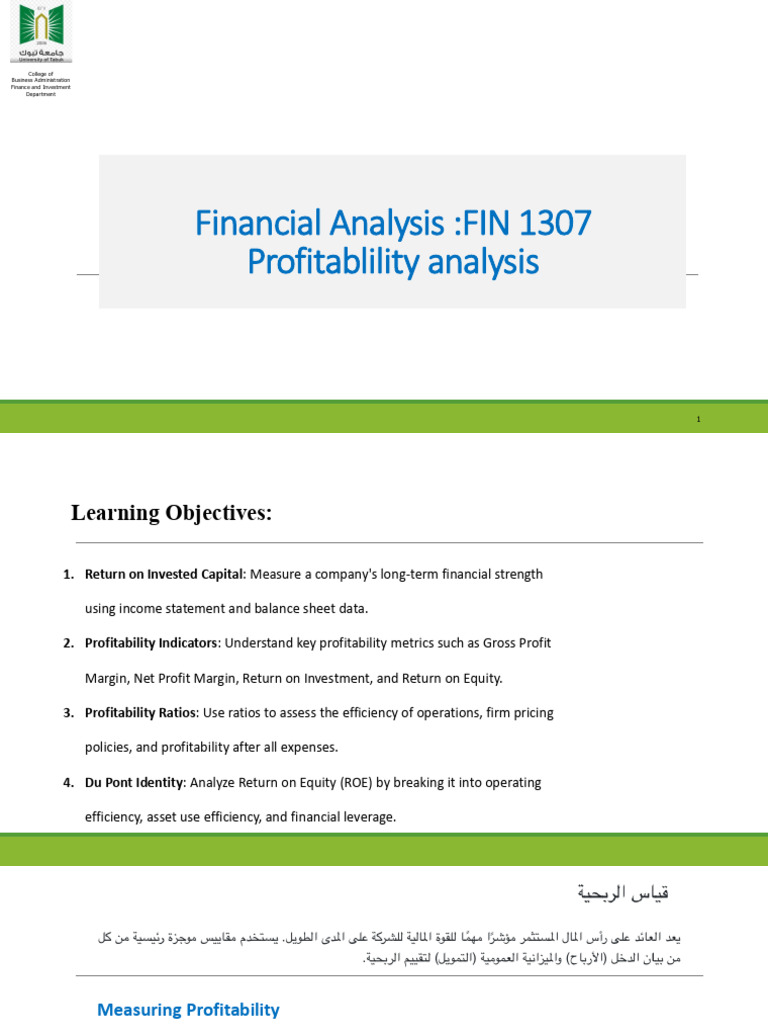 (chapter 6)Profitability analysis | PDF | Balance Sheet | Equity (Finance)