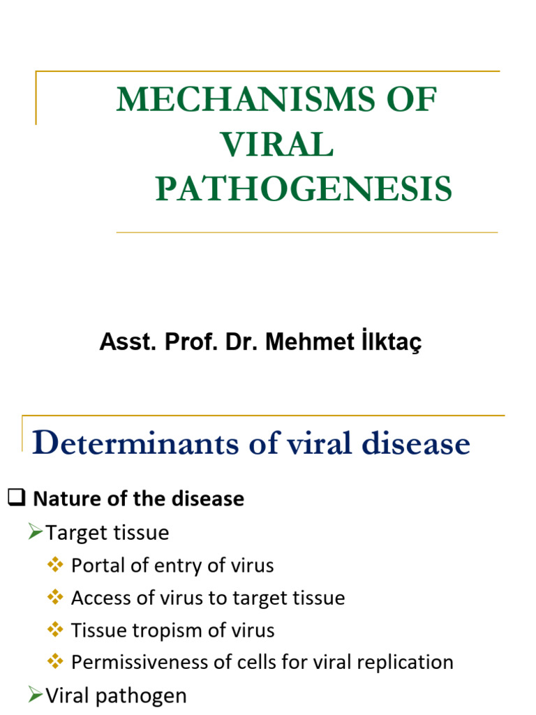 Understanding Viral Pathogenesis | PDF | Virus | Infection