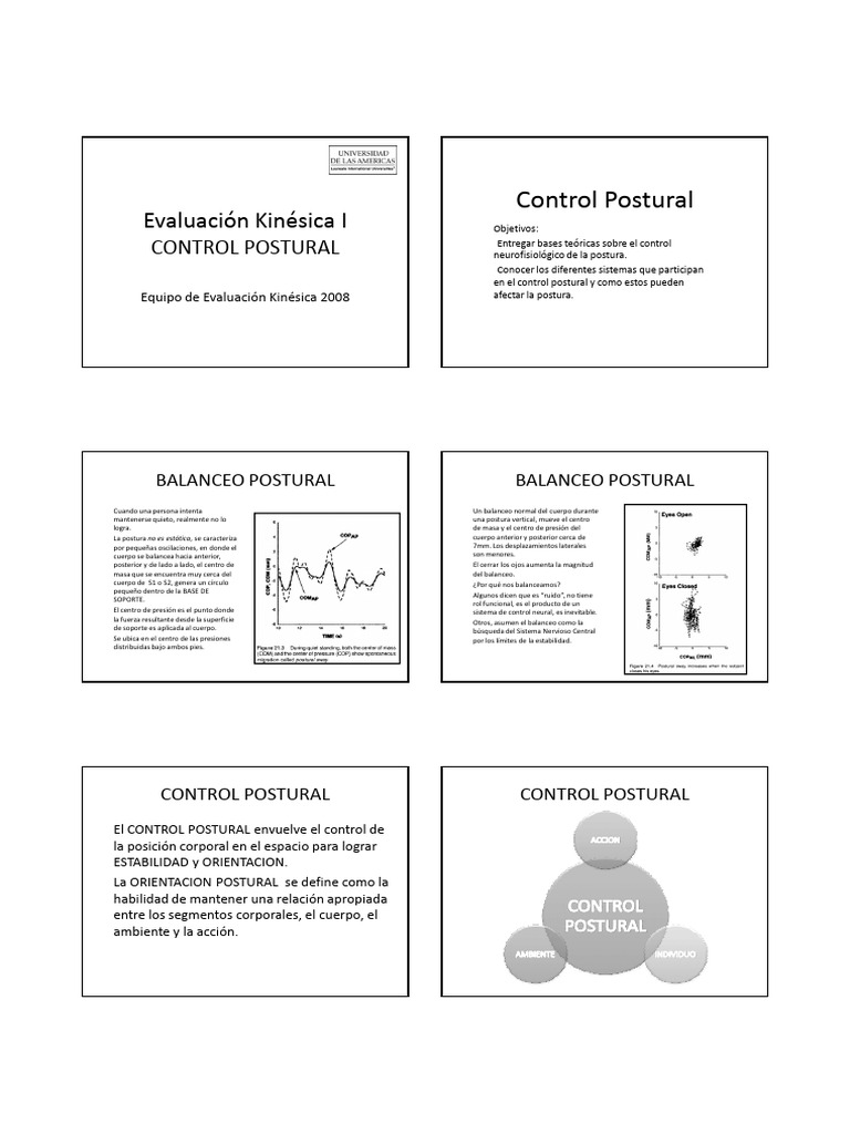 C8 Control Postural Con LAB | PDF | Músculo | Tobillo