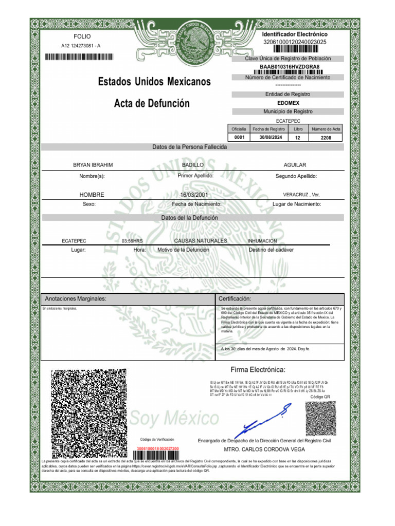 Acta de Defunción de Bryan Badillo | PDF | Vigilancia | Técnicas de ...