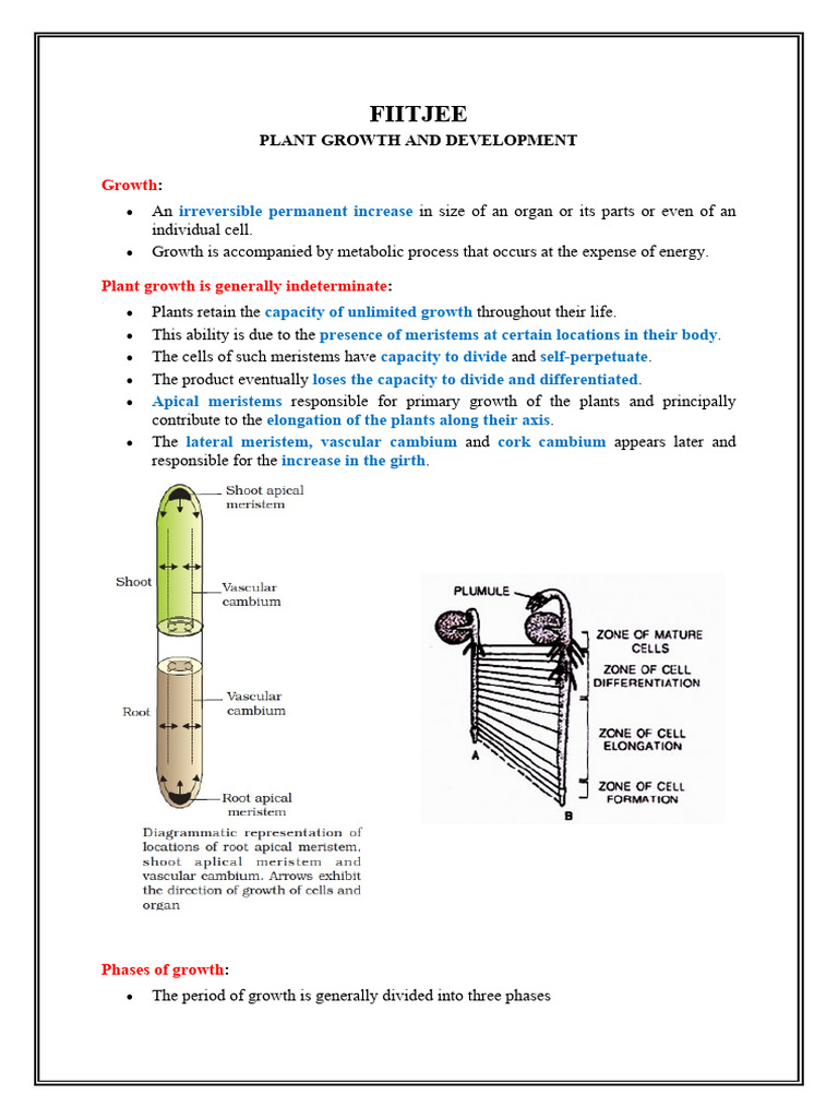 Plant Growth and Development Notes | PDF | Plant Hormone | Auxin