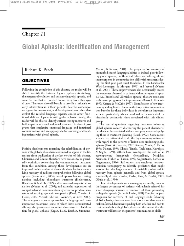Global Aphasia Identification and Manage | PDF | Aphasia | Speech