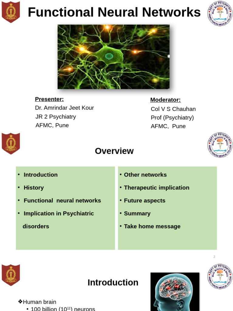 1 Functional Neural Networks 24 | PDF | Insular Cortex | Dorsolateral Prefrontal Cortex