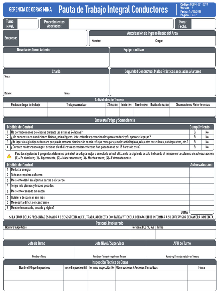 Pauta de Trabajo Integral Conductores | PDF