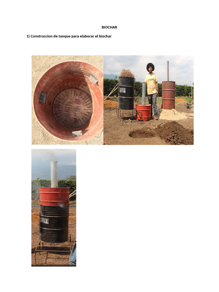 Bio Char | PDF