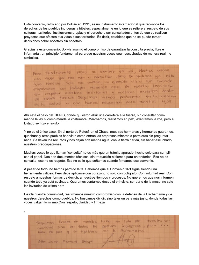 Documento sin título (3) | PDF