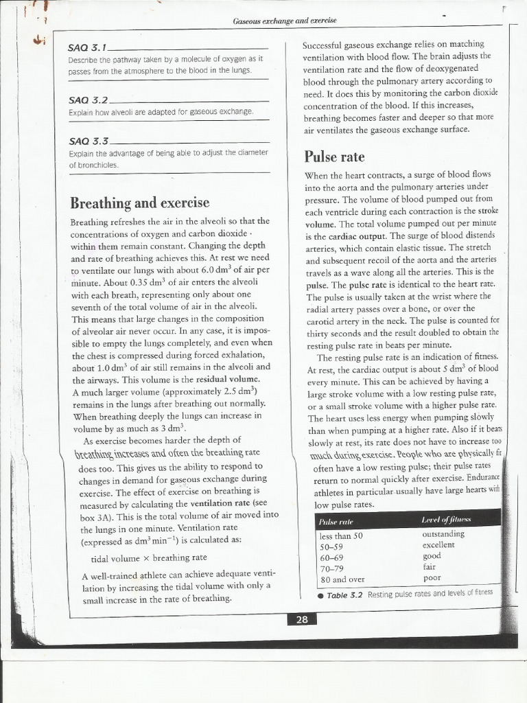 CAPE U2 M3 Exercise | PDF