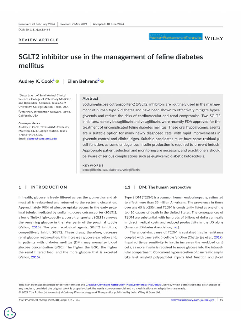 SGLT 3 | PDF