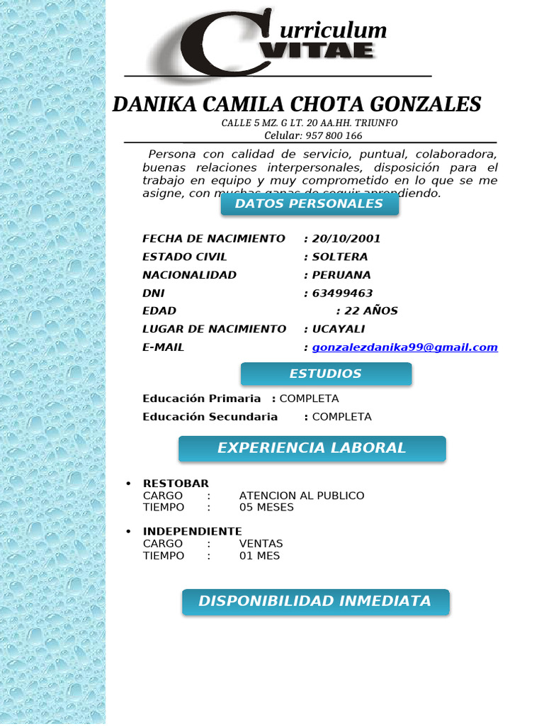 Curriculum Roy | PDF