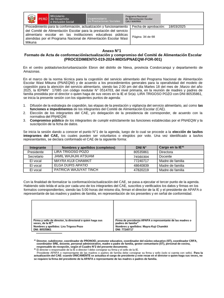 Anexo 1 - Acta de Conformación CAE | PDF