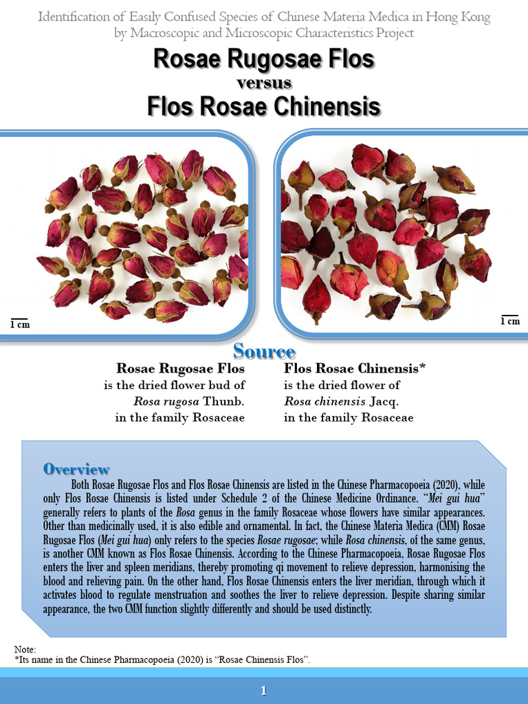 Rosae Rugosae Flos Flos Rosae Chinensis: Versus | PDF | Rose | Plant ...