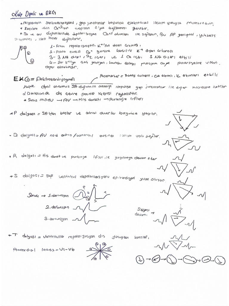 Biyofizik 1.Slayt | PDF