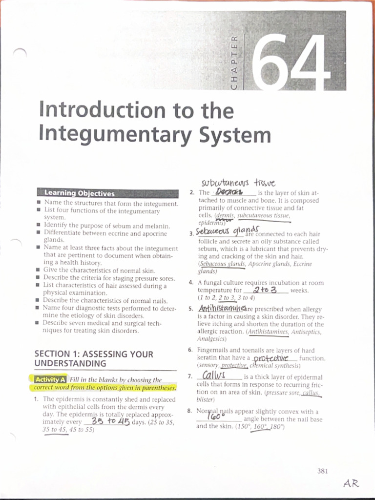 Chapter 64, 65 & 66 Packets | PDF