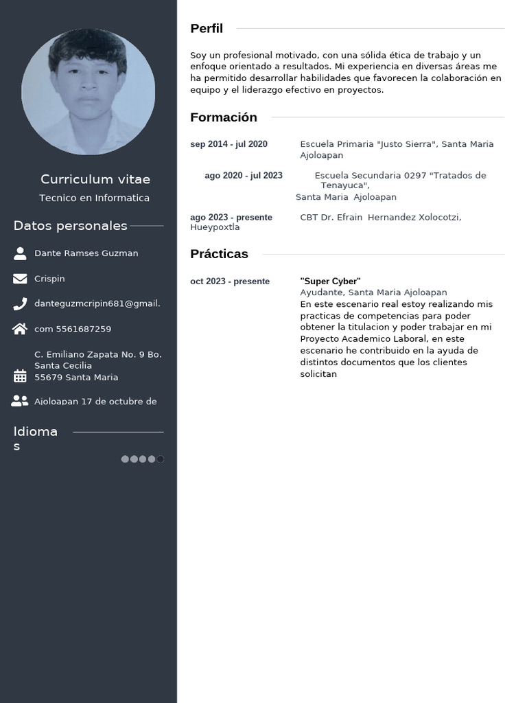 CV Dante Ramses Guzman Crispin | PDF