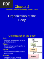Medical Terminology: Chapter 2 Forms | PDF