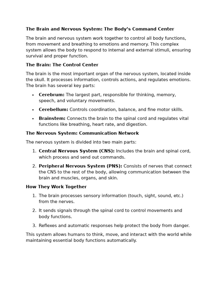 The Brain and Nervous System | PDF