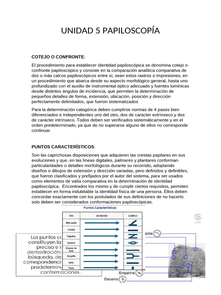 Unidad 5 Papiloscopia GC | PDF