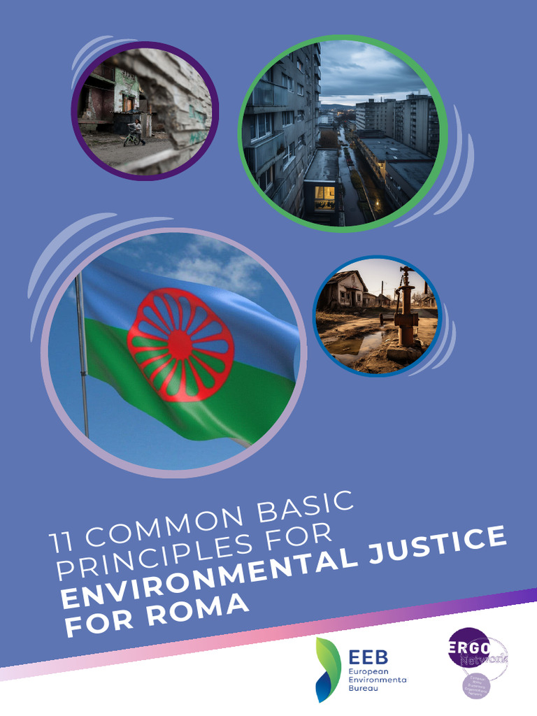 Principles of Environmental Justice for Roma | PDF | Sustainability ...
