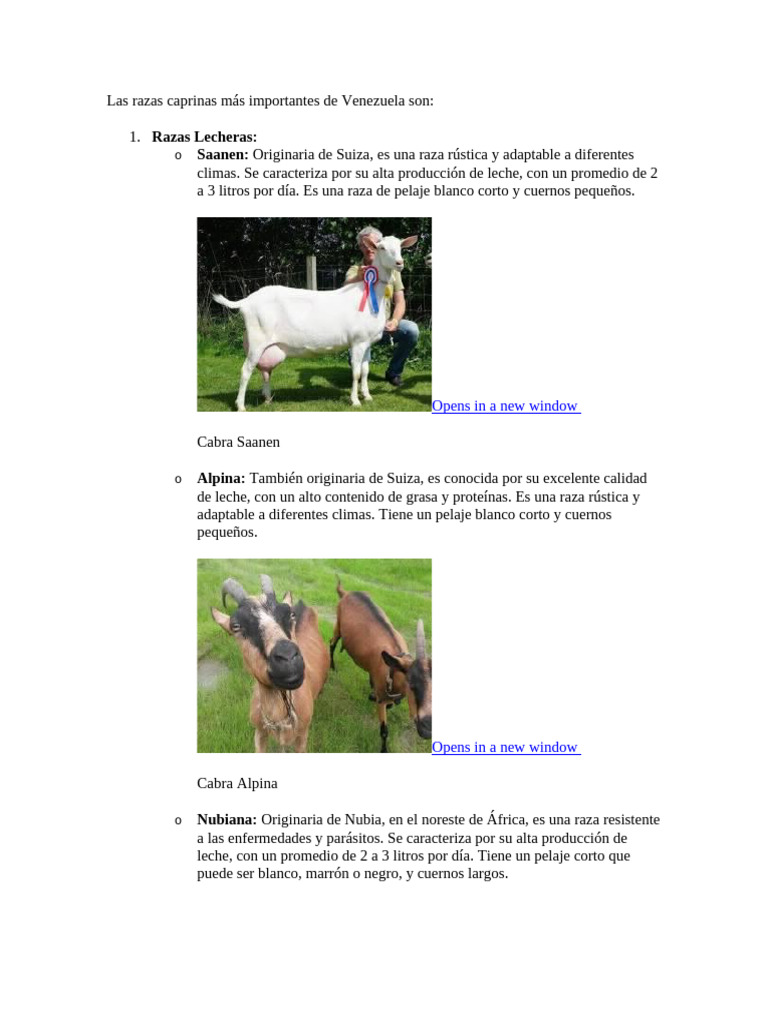 Razas Caprinas en Venezuela: Guía Completa | PDF | Cabra | Carne