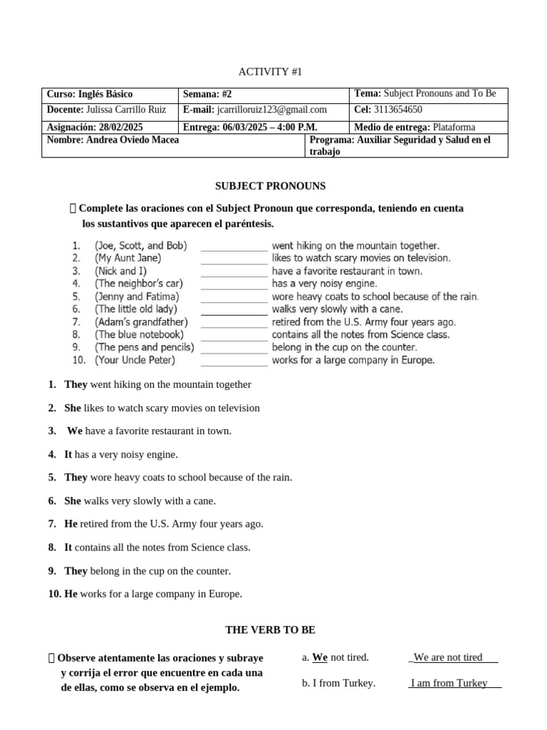 ACTIVIDAD 1 BASIC ENGLISH ANDREA OVIEDO | PDF | Semantic Units | Syntax