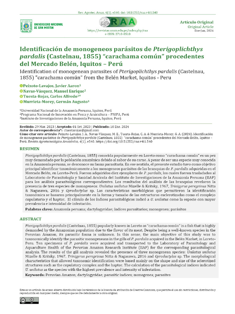 Parásitos Peces Mercado Belen - Paper - 2024 | PDF