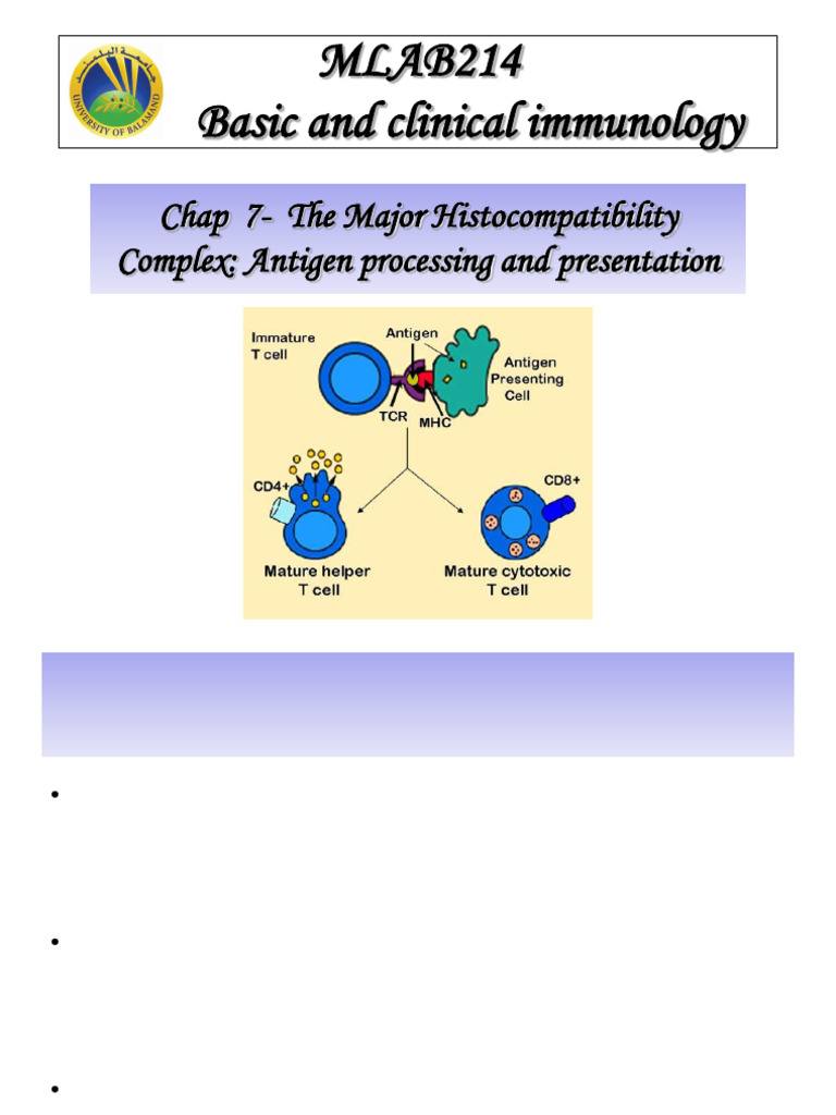 Chap 5b - The Major Histocompatibility Complex Antigen Processing and Presentation | PDF ...