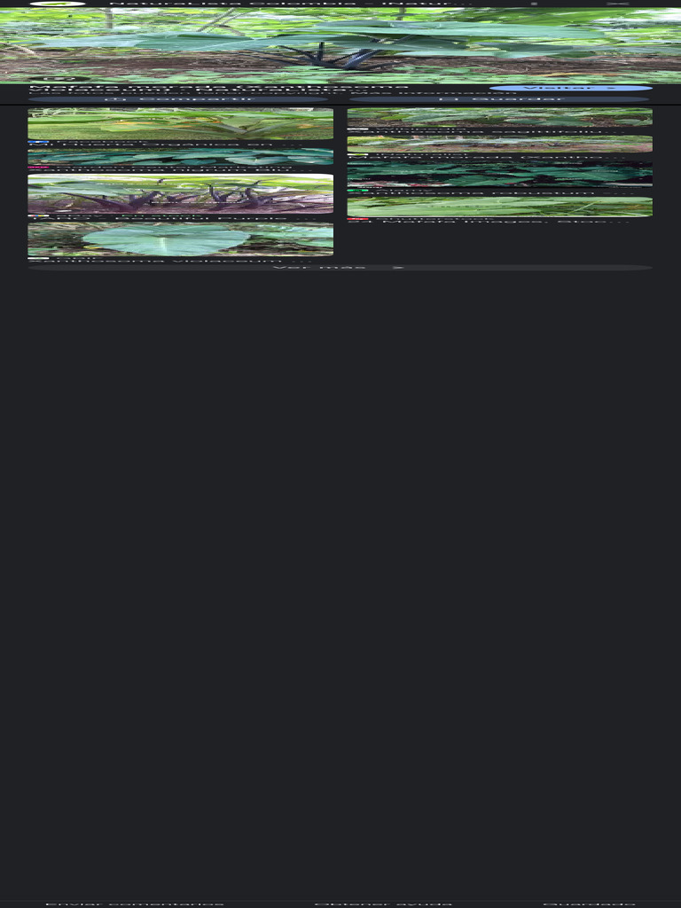 Chonque - Buscar Con Google | PDF