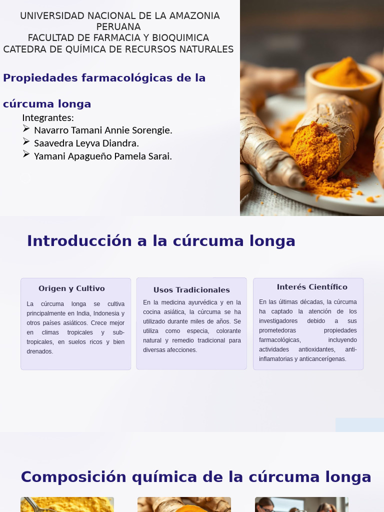 Propiedades Farmacologicas de La Curcuma Longa | PDF | Cúrcuma ...