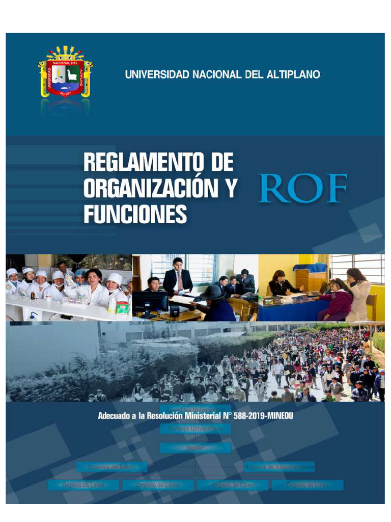 ROF 03-11-2021 | PDF | Universidad | Regulación
